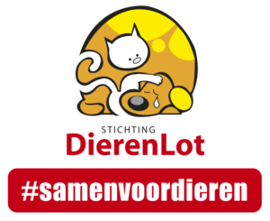 Stichting Poezensnuitjes – Stichting Poezensnuitjes is een ...